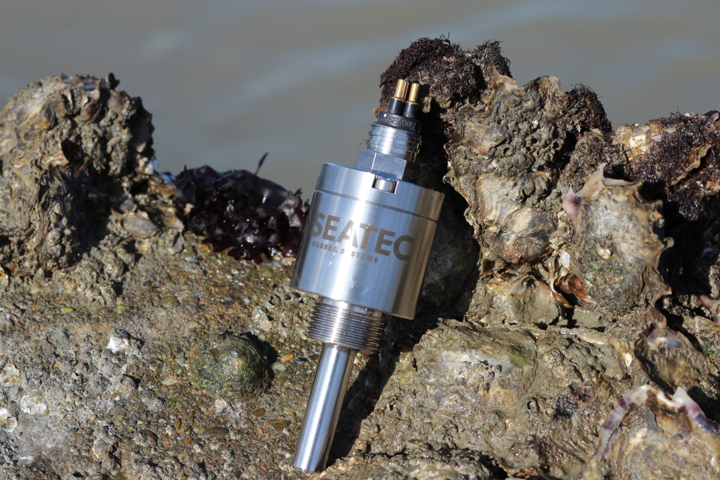 Temperature sensor - Seatec